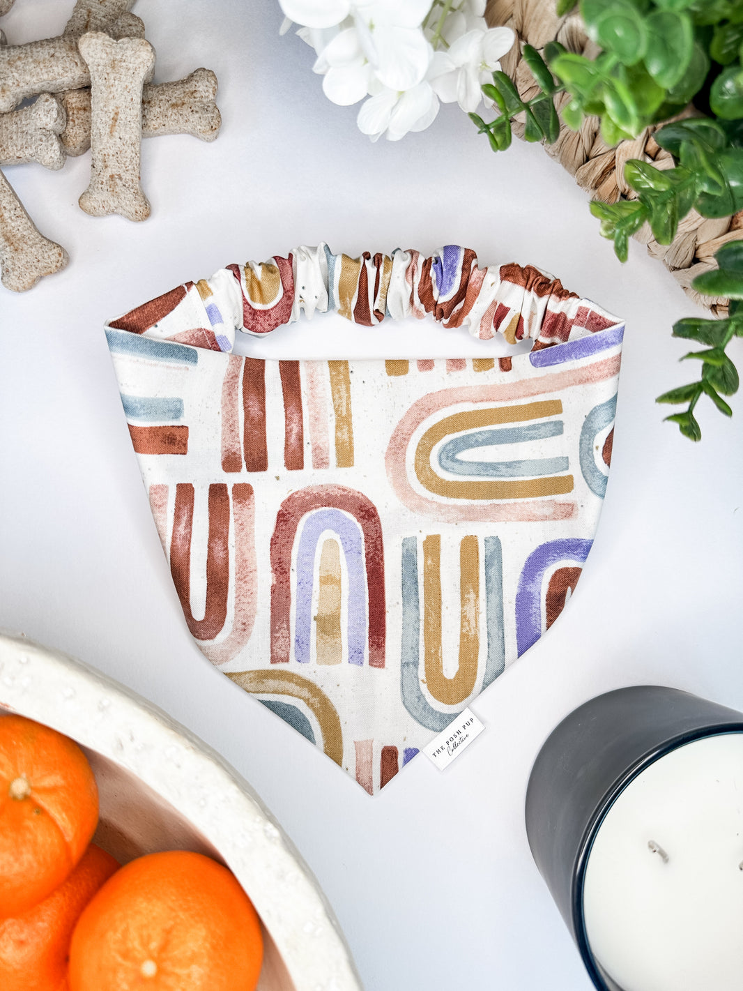 New Arrivals – The Posh Pup Collective