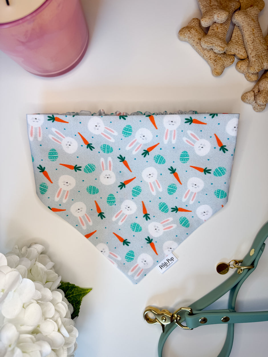 New Arrivals – The Posh Pup Collective