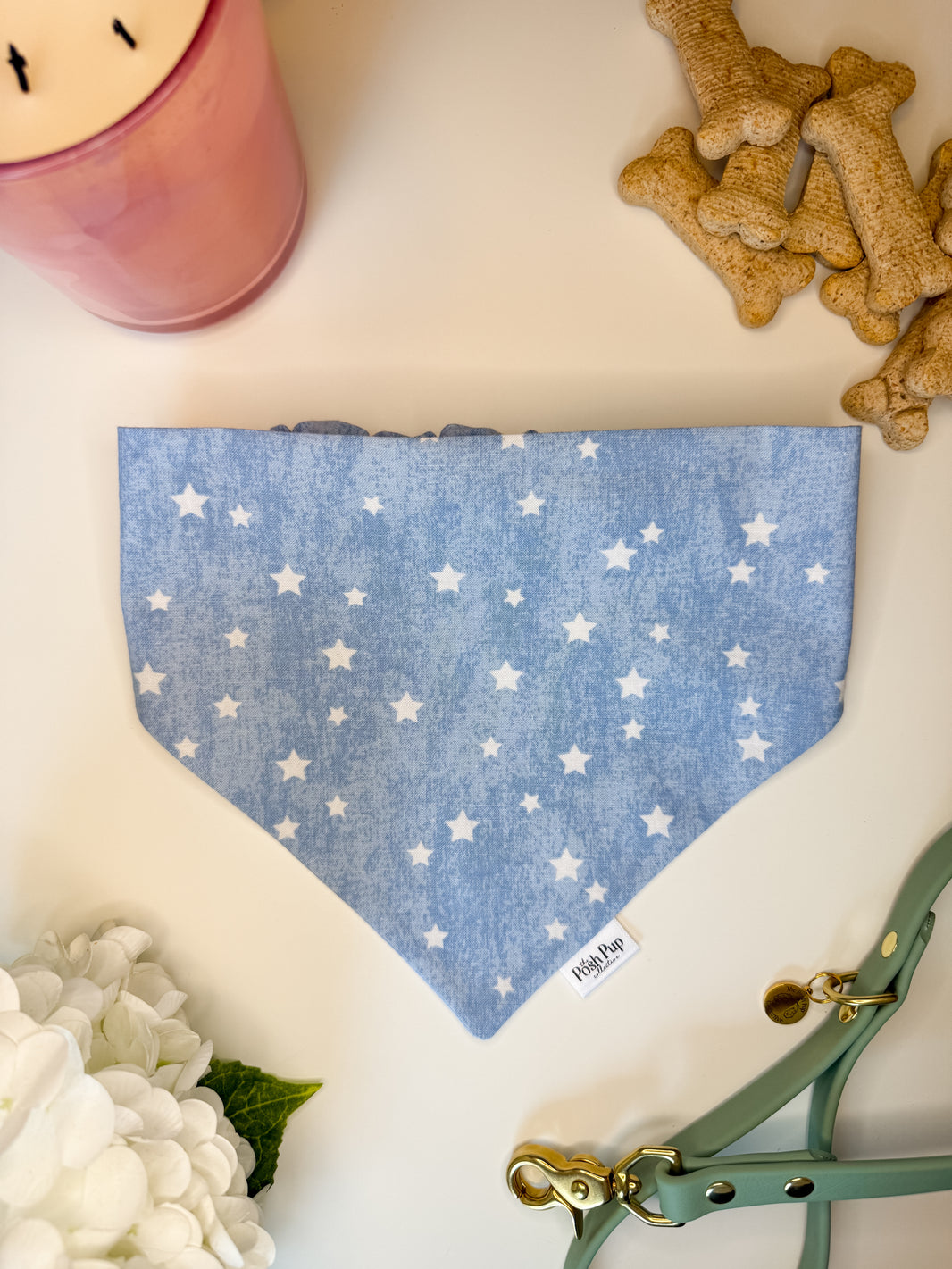 New Arrivals – The Posh Pup Collective