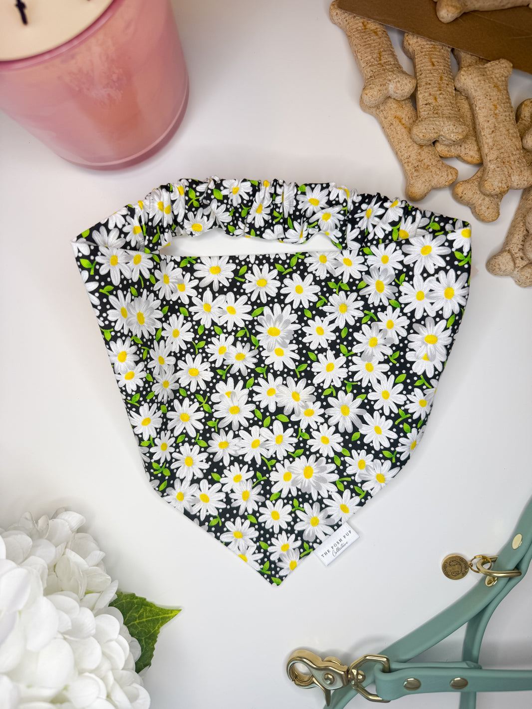 New Arrivals – The Posh Pup Collective