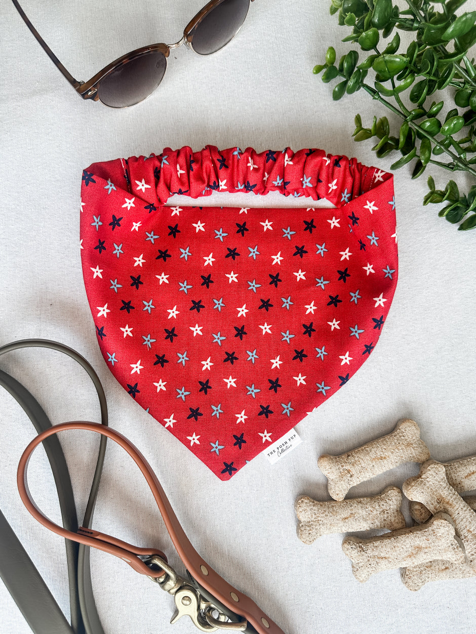The Posh Pup Collective | Dog Bandanas for Your Furry Friend
