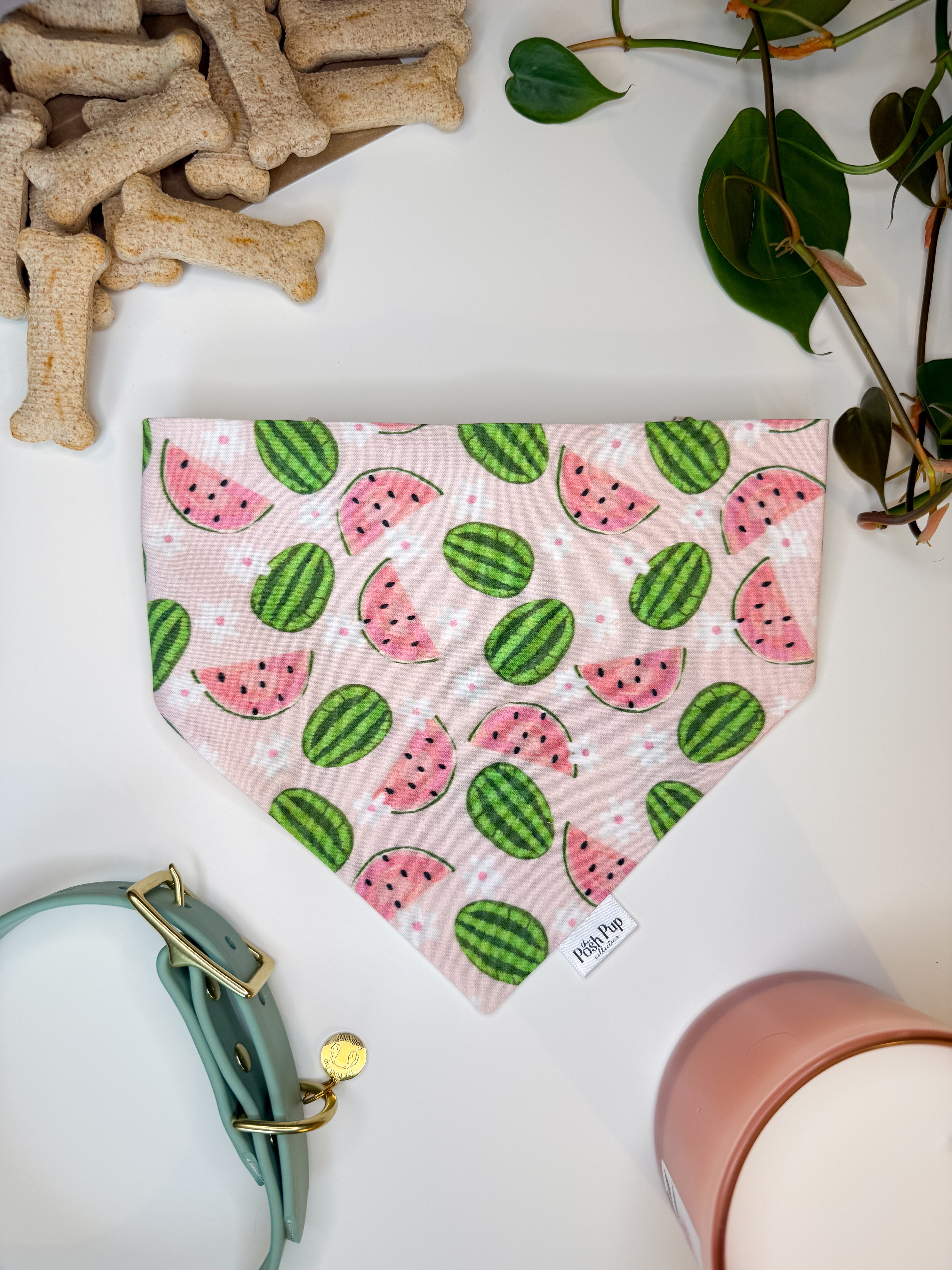 Melon Bloom Bandana – The Posh Pup Collective