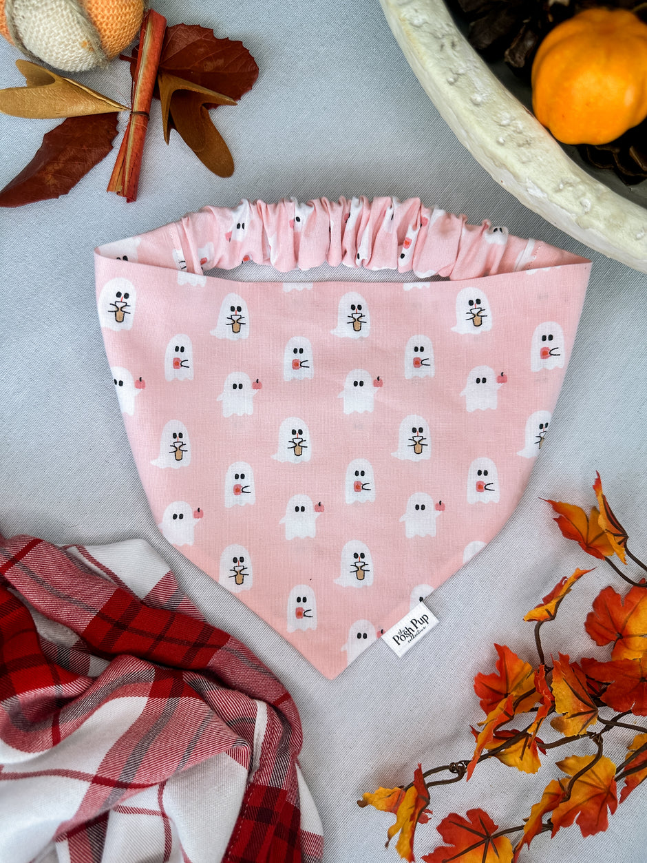 Fall Collection – The Posh Pup Collective