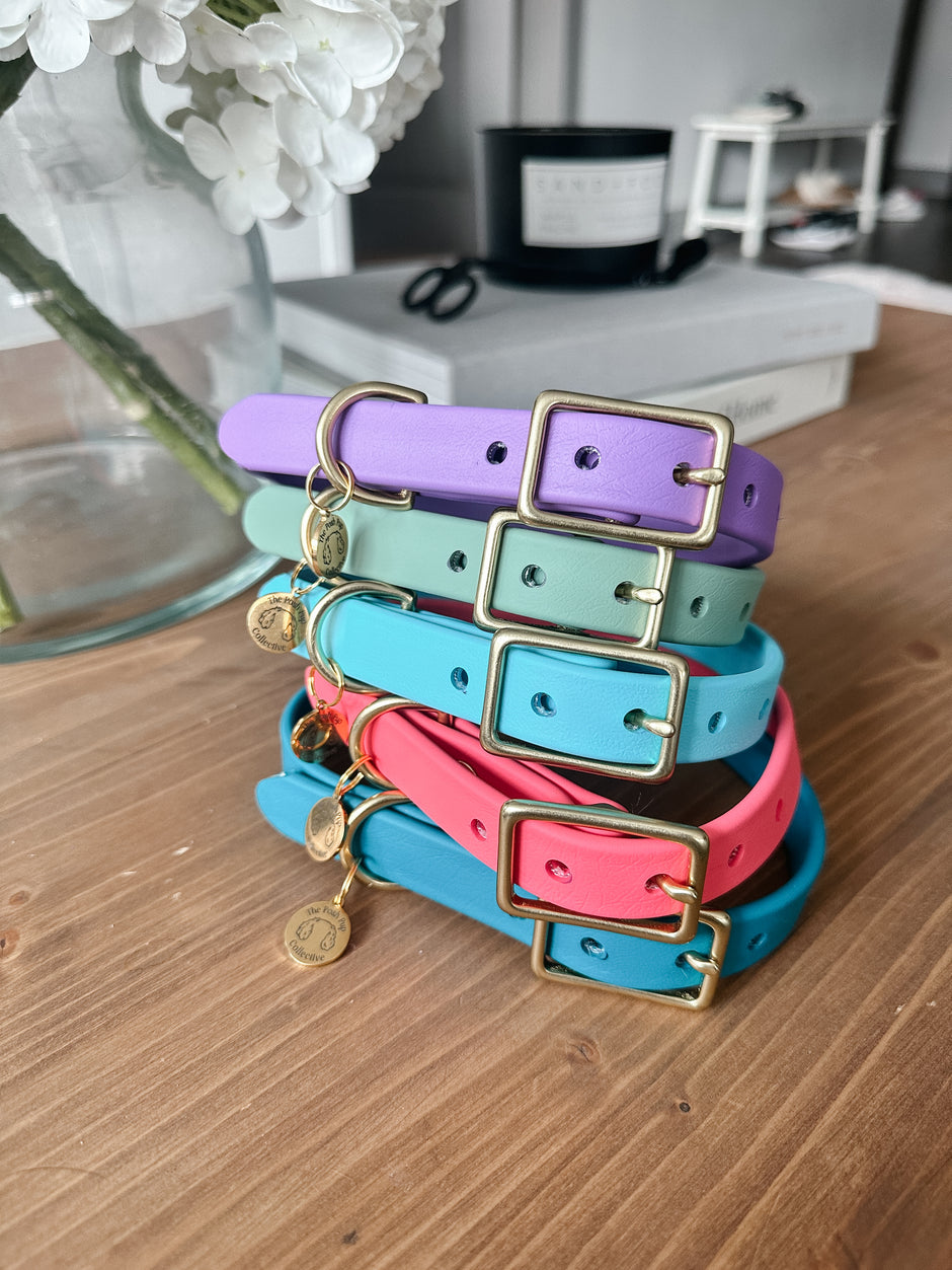 Collars & Leashes – The Posh Pup Collective