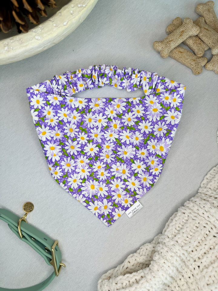 The Posh Pup Collective | Dog Bandanas for Your Furry Friend