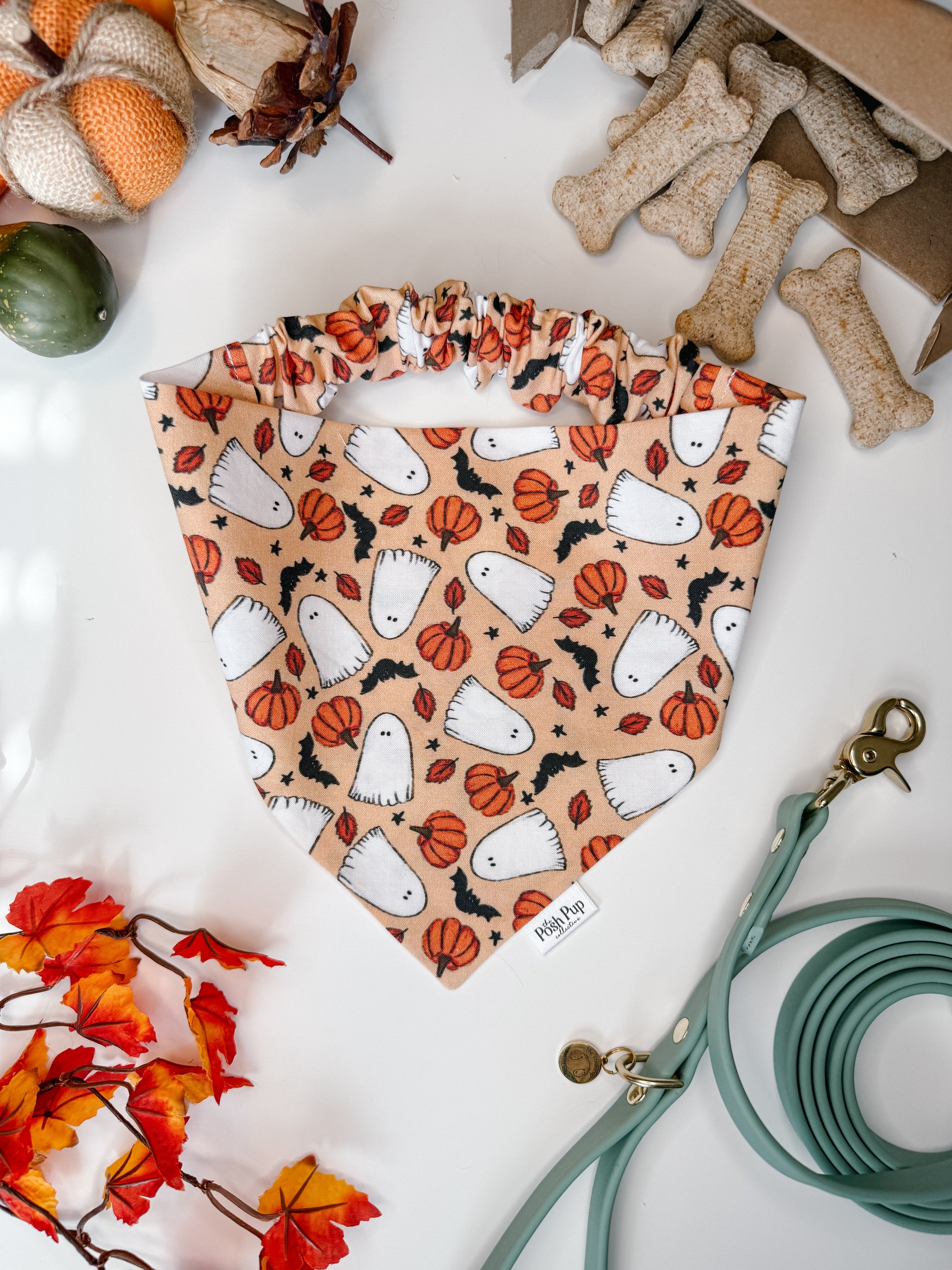 Howl-oween Night Bandana – The Posh Pup Collective