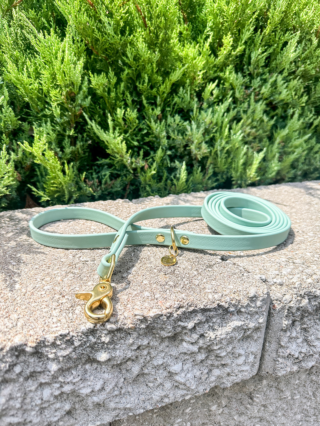 New Arrivals – The Posh Pup Collective