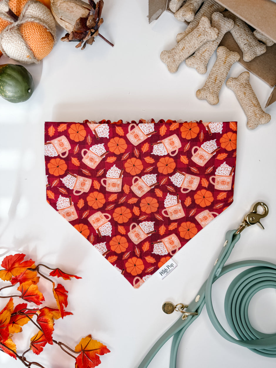 New Arrivals – The Posh Pup Collective